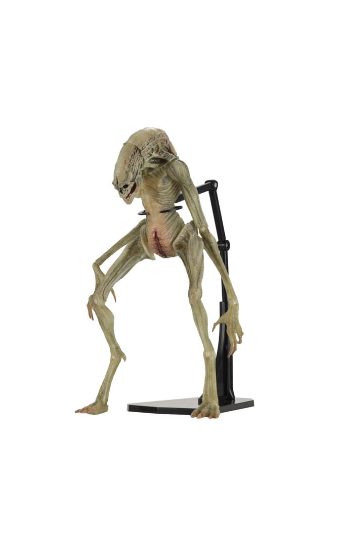 Figura Alien Newborn - Aliens 4 - Neca - Iron Studios Online Store