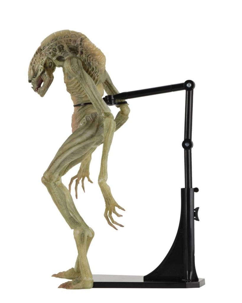 Figura Alien Newborn - Aliens 4 - Neca - Iron Studios Online Store