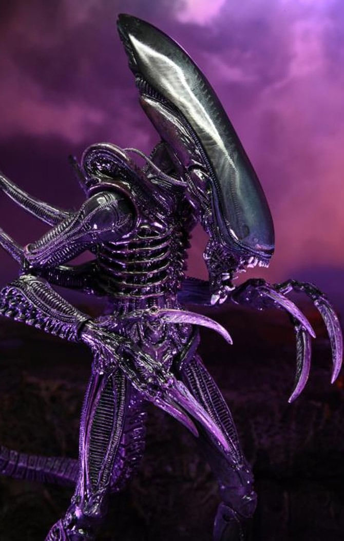 Figura Razor Claws Alien - Alien vs Predator - 7? Scale Action Figure ...