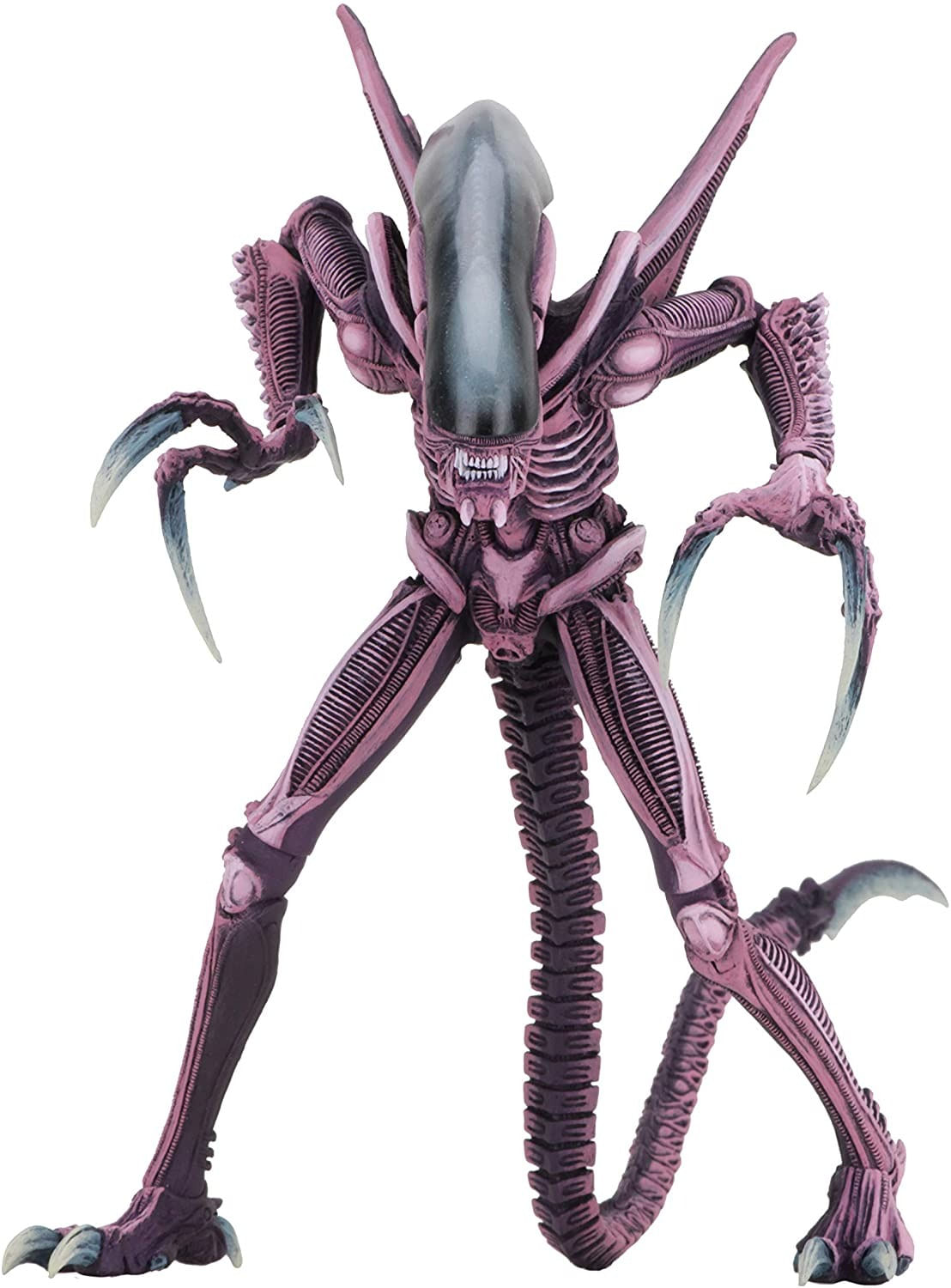 Figura Razor Claws Alien - Alien vs Predator - 7? Scale Action Figure ...
